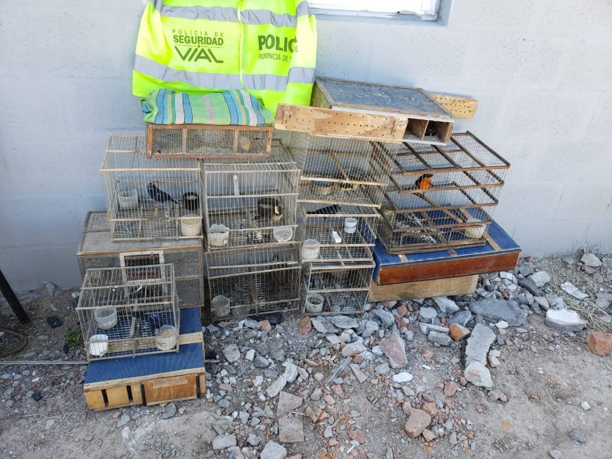 Policía Vial : En ruta 2 detuvieron a rafaelinos por atentando contra ...